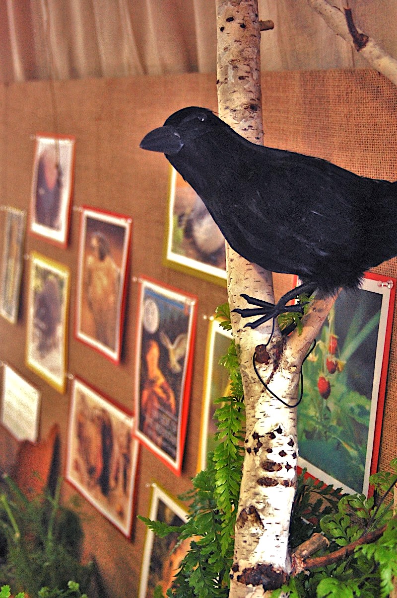 Creative teaching ideas for MY SIDE OF THE MOUNTAIN