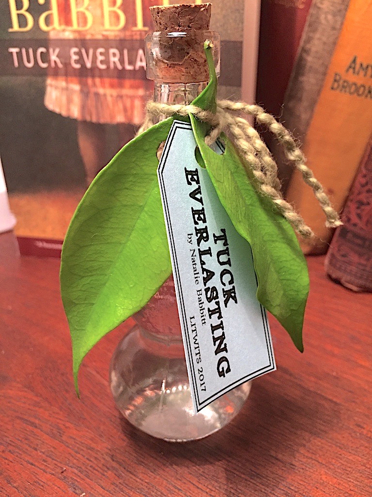 Creative teaching ideas for TUCK EVERLASTING