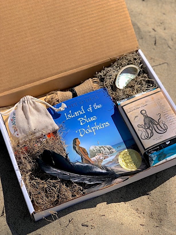 Creative teaching ideas for ISLAND OF THE BLUE DOLPHINS