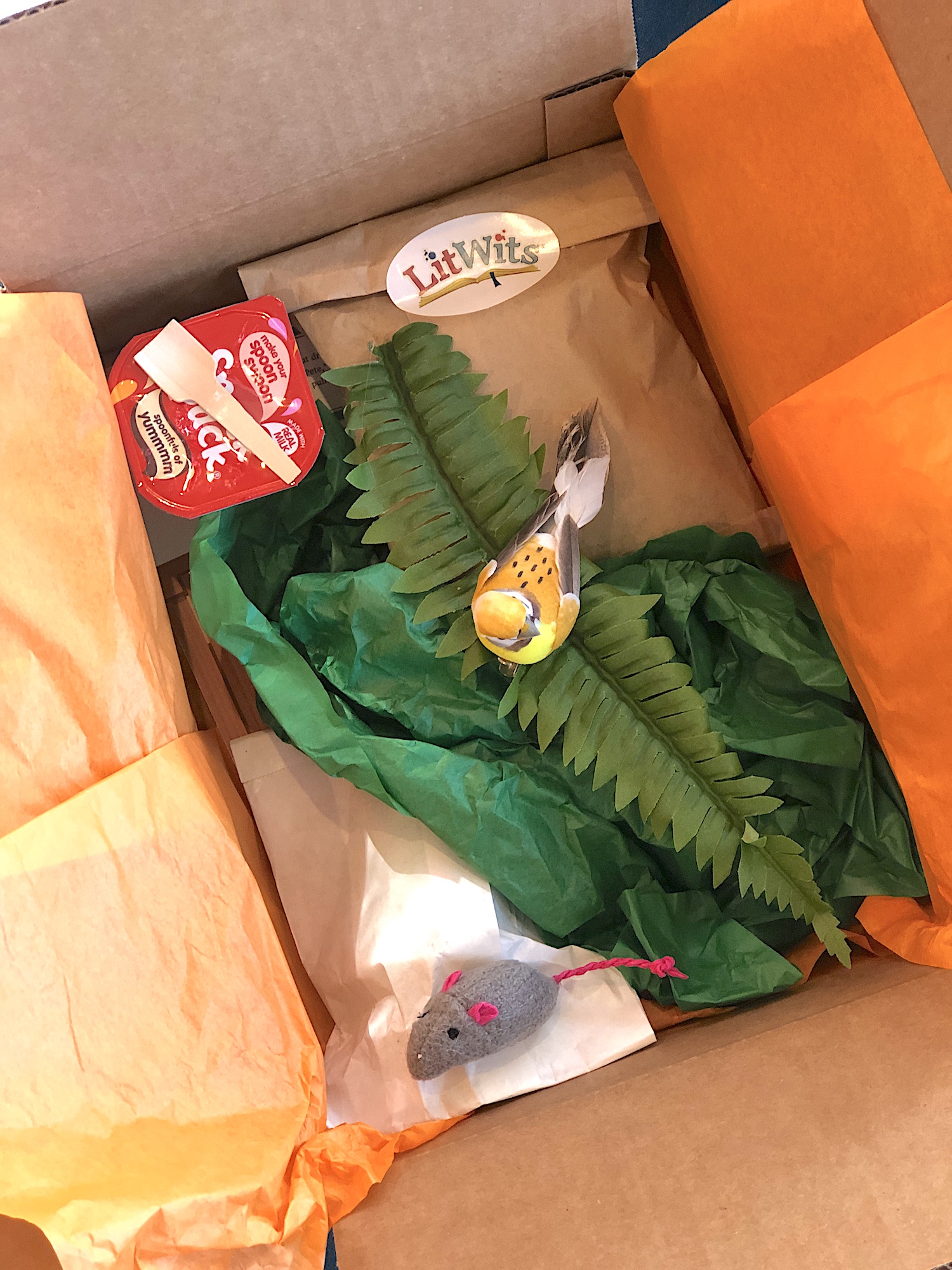 Creative teaching ideas for STUART LITTLE